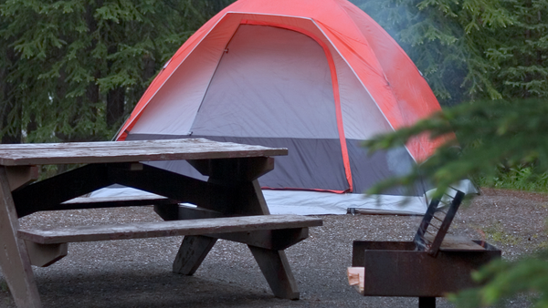 Outdoor Fun for All Ages: Discover Alberta's Top Campgrounds for Famil ...